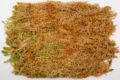 Spagmoss Sphagnum Moss - At the Root of Healthier Plants | Besgrow