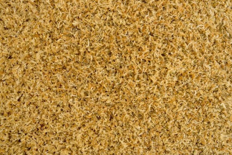 Spagmoss Sphagnum Moss - At the Root of Healthier Plants | Besgrow