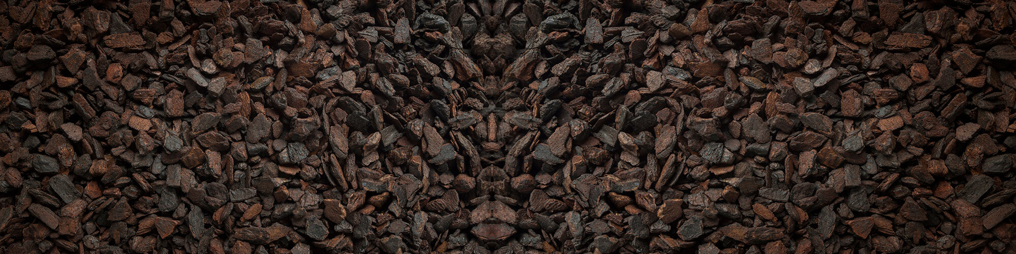 Bromeliad Care - Using Orchiata Bark to Grow Bromeliads | Besgrow